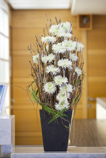 Table Decorations & Floral Displays - DFI Dauerflora International GmbH